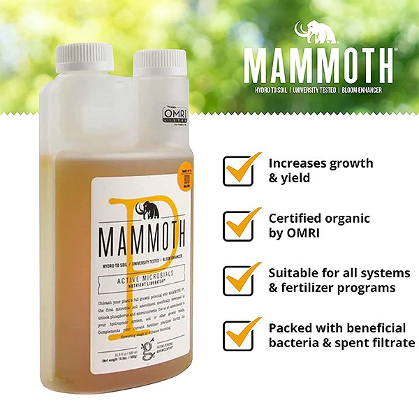Mammoth P 500ml – Lux Cuttings